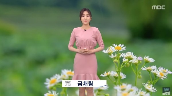 금채림 기상캐스터 프로필 관심