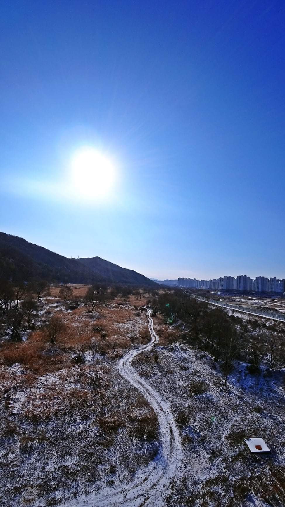갑천습지길에 눈이 내리면
